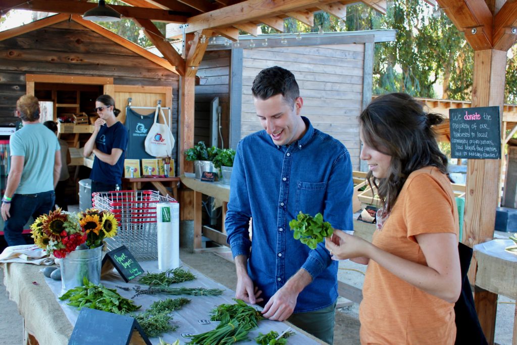 Community Farms Take Root - Coastal Roots Farm