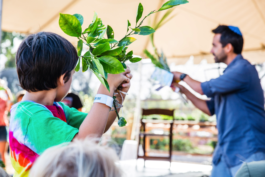 Jewish Community Farming - Coastal Roots Farm