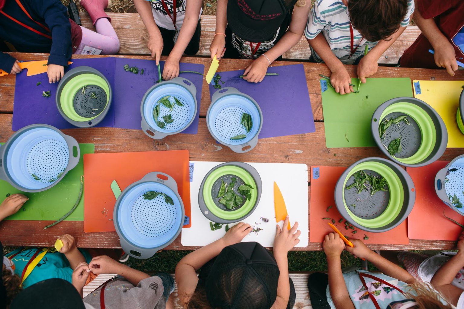 Birthday Parties - Coastal Roots Farm