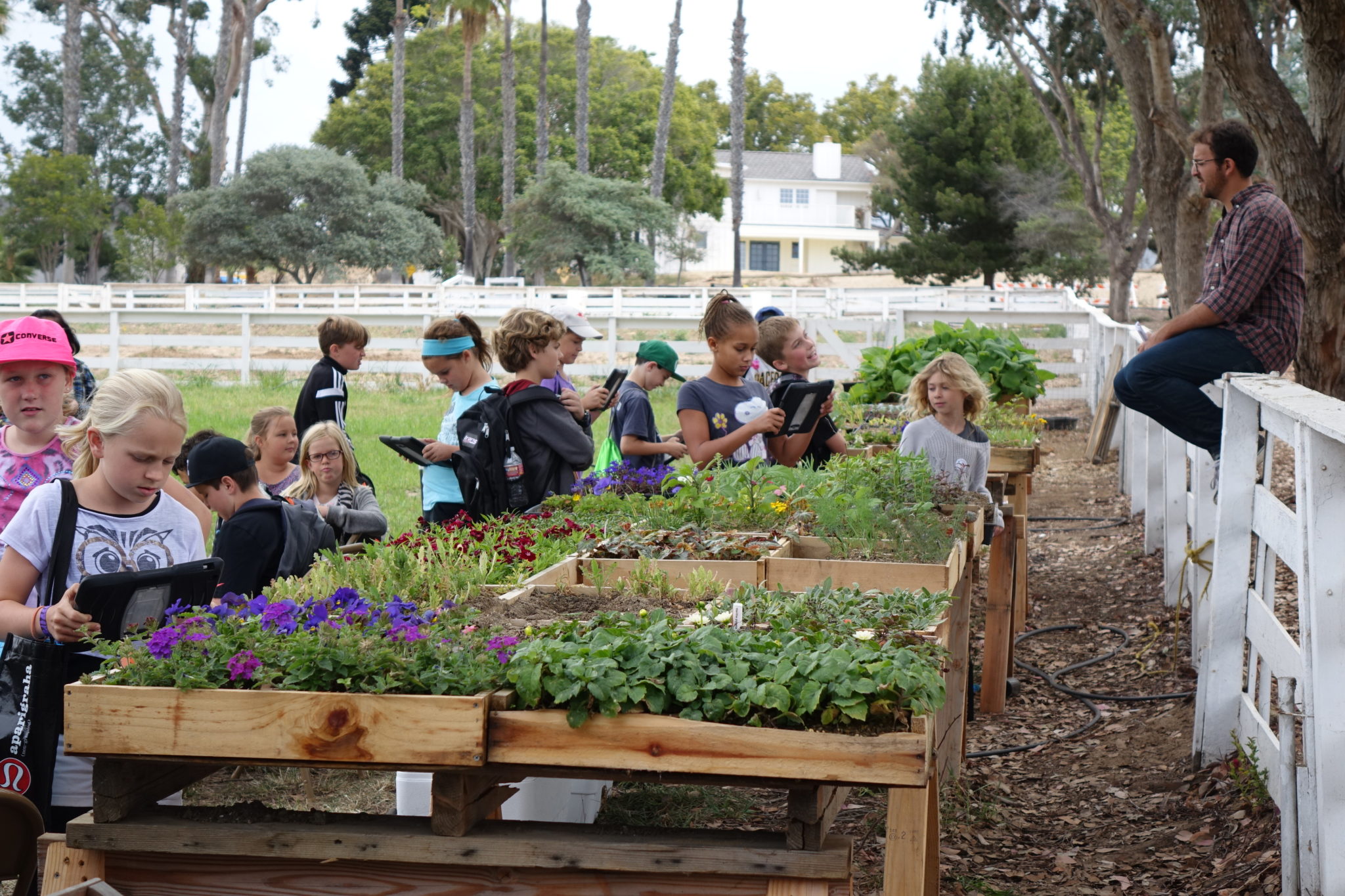 Home - Coastal Roots Farm