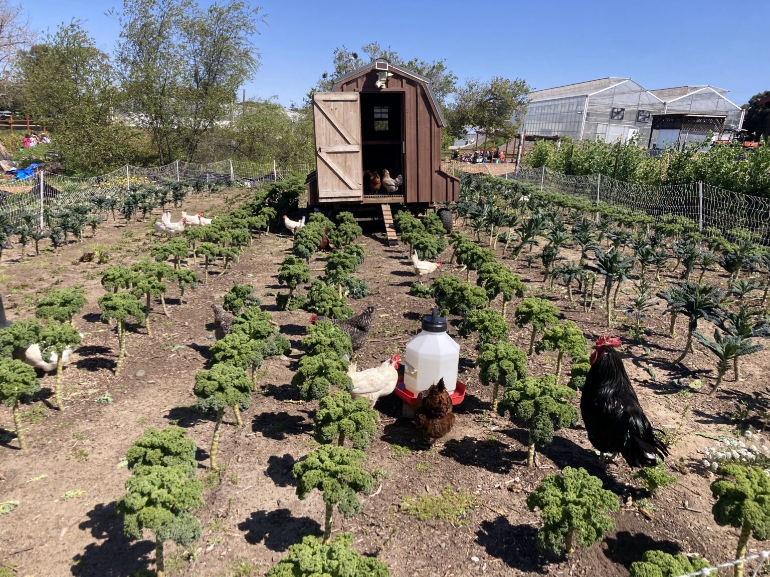 Press - Coastal Roots Farm