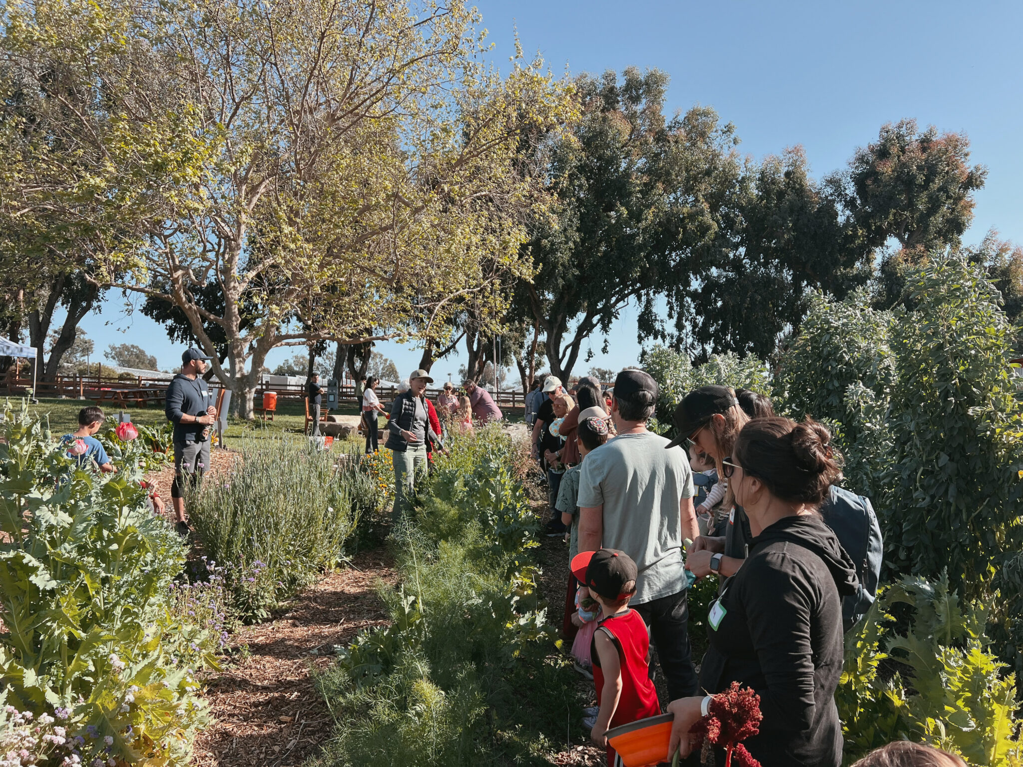 Let All Who Are Hungry Come and Eat - Coastal Roots Farm