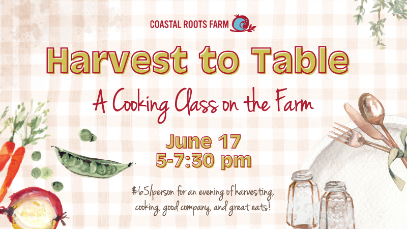 From Harvest to Table, A Cooking Class on the Farm - Coastal Roots Farm