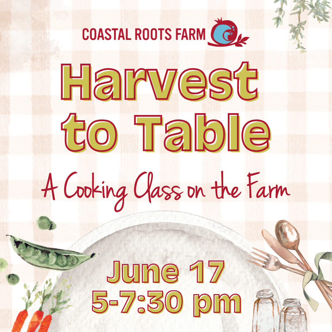 From Harvest to Table, A Cooking Class on the Farm - Coastal Roots Farm