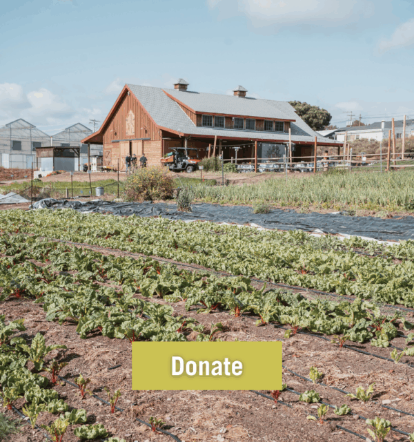 Coastal Roots Farm