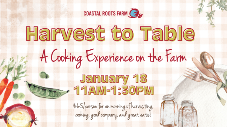 Harvest to Table Culinary Experience - Coastal Roots Farm