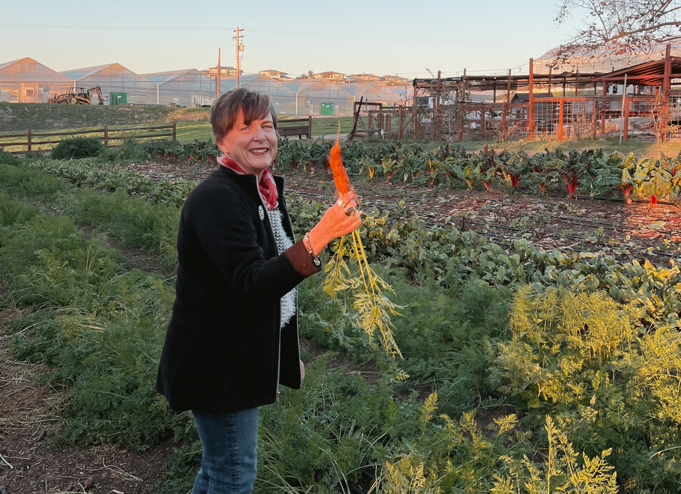 Harvest to Table Culinary Experience - Coastal Roots Farm