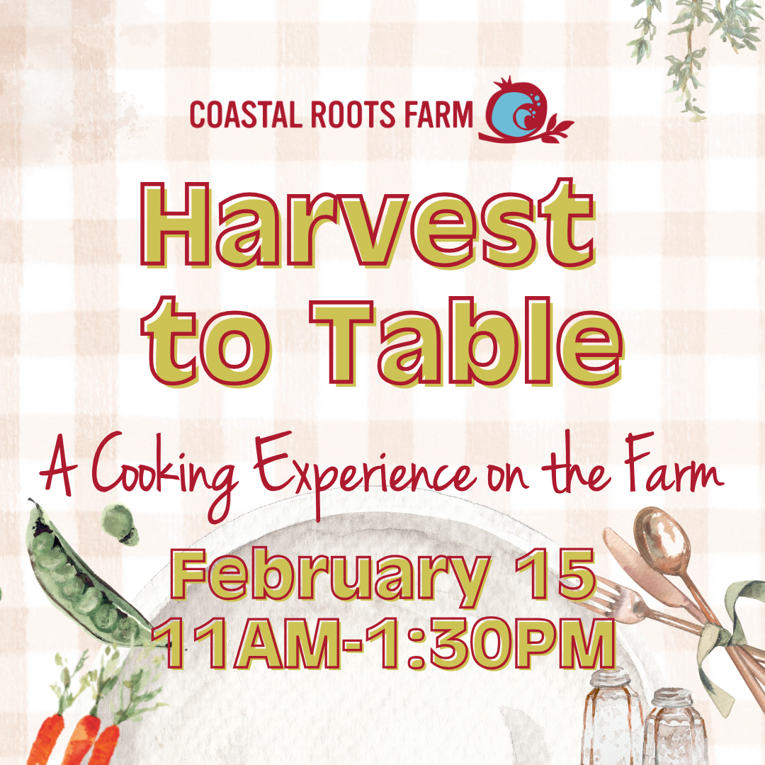 Harvest to Table Culinary Experience - Coastal Roots Farm